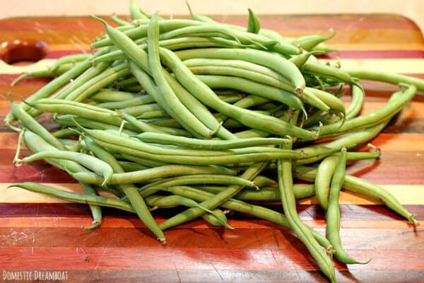 Spicy Sichuan Green Beans