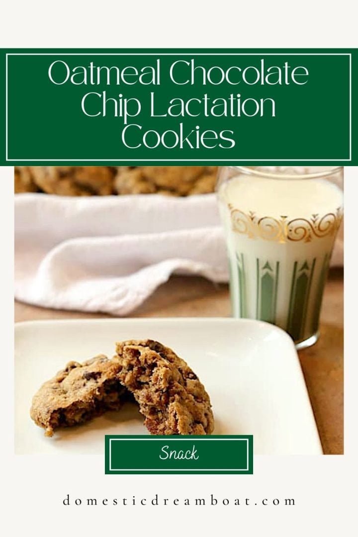 Oatmeal Chocolate Chip Lactation Cookies | Domestic Dreamboat